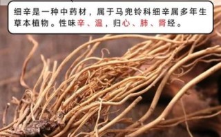 细辛的功效与作用_细辛用量多少克安全