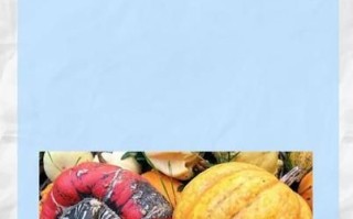 北瓜和南瓜一样吗_北瓜与南瓜的区别