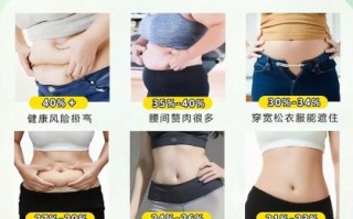 内脂是什么_内脂和内脏脂肪一样吗