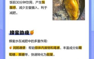 蜂蜜水什么时候喝减肥_怎么喝蜂蜜水减肥有效