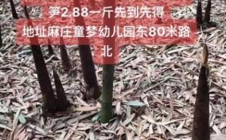 竹笋多少钱一斤_新鲜竹笋价格行情