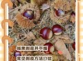 水煮板栗怎么才好剥壳_水煮板栗剥壳技巧