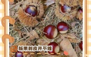 水煮板栗怎么才好剥壳_水煮板栗剥壳技巧