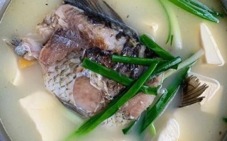 白汤水煮鱼怎么做_水煮鱼白汤做法