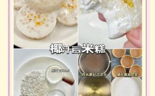 椰浆怎么使用_椰浆可以做什么甜品