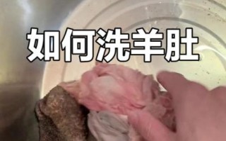 羊肚怎么洗才干净_羊肚清洗的正确方法