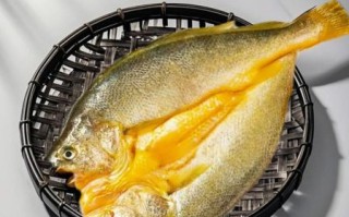 黄鱼鲞怎么读_黄鱼鲞读音是什么