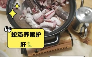 蛇肉汤的做法_蛇汤怎么炖才不腥