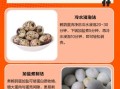 鹌鹑蛋怎么煮好剥壳_鹌鹑蛋煮多久好剥壳