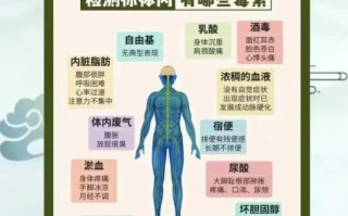 身体排毒最有效的方法_如何科学排毒
