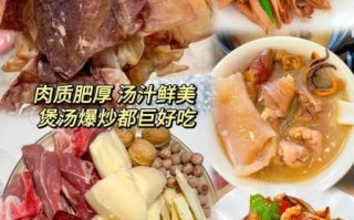 墨鱼干怎么炒好吃_墨鱼干炒前怎么处理