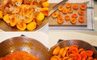 杏果酱怎么做_杏果酱的做法步骤