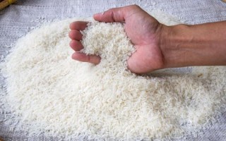 江米面和糯米面一样吗_江米面与糯米面的区别