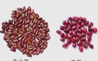 赤小豆是什么豆_赤小豆和红豆的区别