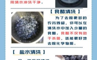 蓝莓怎么洗_蓝莓怎么吃