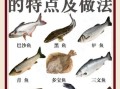 刺少是什么鱼_刺少适合宝宝吃吗