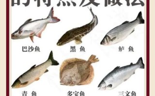 刺少是什么鱼_刺少适合宝宝吃吗