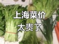 上海菜价为什么上涨_上海蔬菜价格最新行情
