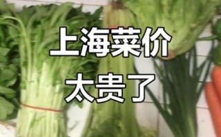 上海菜价为什么上涨_上海蔬菜价格最新行情