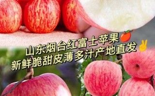 红富士苹果为什么甜_红富士苹果产地在哪里