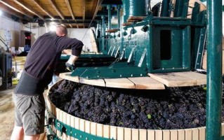 葡萄酒怎么酿_葡萄酒制作视频全过程