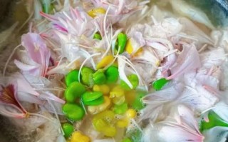 水煮蚕豆怎么煮好吃_水煮蚕豆的做法大全