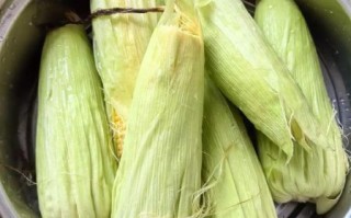 玉米怎么煮才好吃_煮玉米棒用凉水还是热水