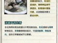 冬瓜海带排骨汤的功效与作用_适合什么人喝