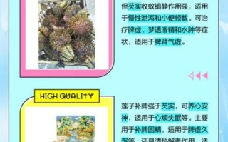 芡实是什么植物_芡实和莲子区别