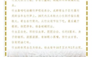 竹虫成虫长什么样_竹虫成虫能吃吗