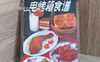 电烤箱食谱pdf免费下载_新手如何快速上手