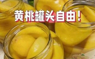 冰冻黄桃罐头怎么做_自制黄桃罐头能保存多久