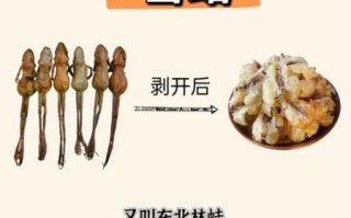 雪蛤多少钱1克_雪蛤价格影响因素