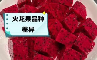 红心火龙果的功效与作用_白心火龙果哪个更营养