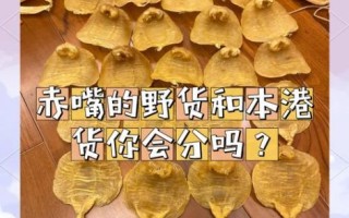 红鱼胶是什么鱼的鱼胶_红鱼胶和赤嘴鳘区别