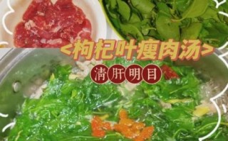 枸杞叶瘦肉汤的做法_枸杞叶瘦肉汤的功效与禁忌