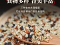 三色糙米是什么米_三色糙米和糙米的区别