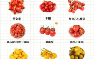 番茄有减肥的作用吗_番茄怎么吃减肥最快