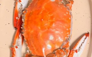 螃蟹图片大全高清_如何拍摄螃蟹特写