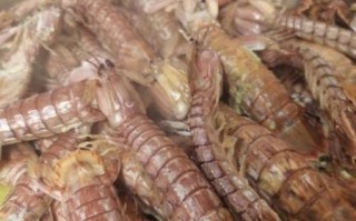 蒸皮皮虾需要多长时间_冷水还是热水下锅