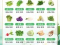腹泻吃什么蔬菜_腹泻能吃什么蔬菜