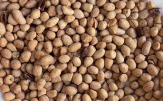 五香炒果仁怎么做_五香炒果仁的做法窍门