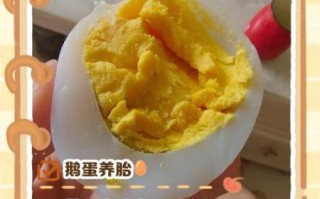 孕妇能吃鹅蛋吗_孕妇吃鹅蛋的禁忌