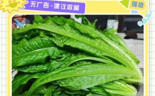 莴笋叶子能吃吗_孕妇能吃莴笋叶吗