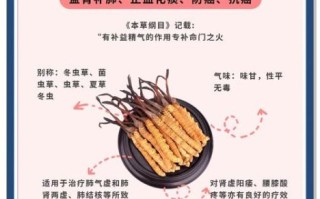 虫草怎么吃效果最好_虫草的最佳食用方法