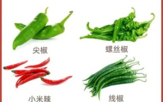 大辣椒图片_如何识别不同品种
