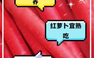 胡萝卜生吃和熟吃哪个好_生吃熟吃营养差多少