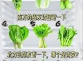 青菜图片大全真实照片_如何辨别常见品种