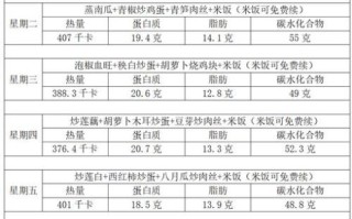 6元食堂菜谱有哪些_6元一餐能吃什么