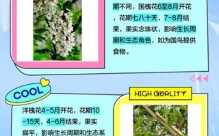 红槐花和紫槐花的区别_如何区分红槐花与紫槐花